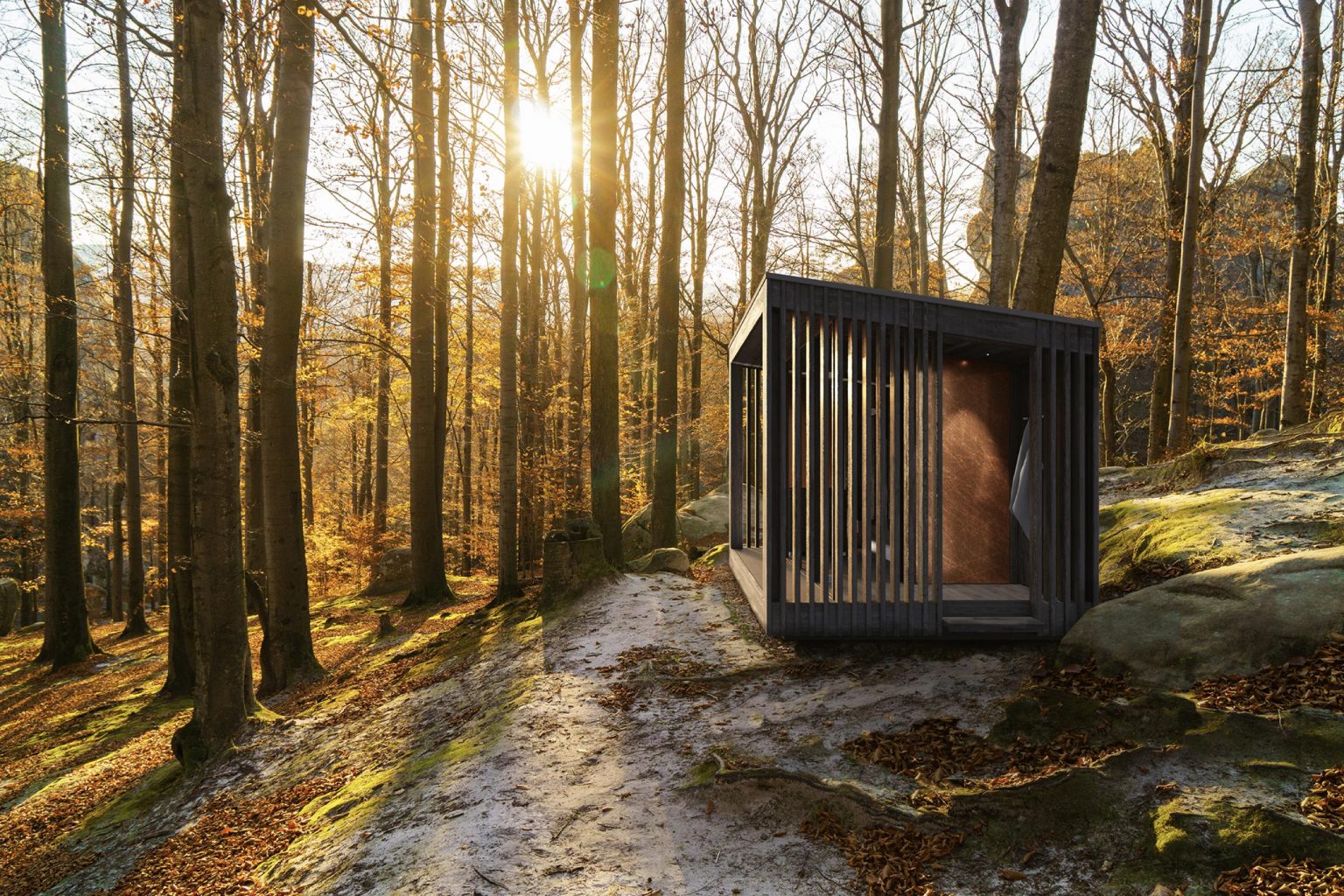 Richtig saunieren: Tipps, Tricks und Design – DECO HOME